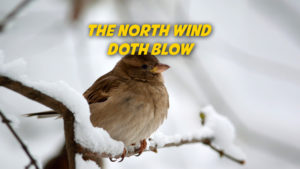 The North Wind Doth Blow | Free Nursery Rhymes