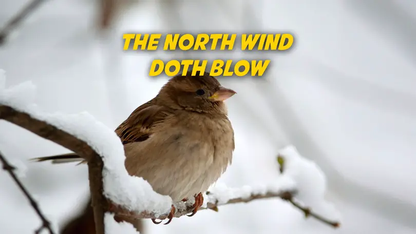 The North Wind Doth Blow | Free Nursery Rhymes