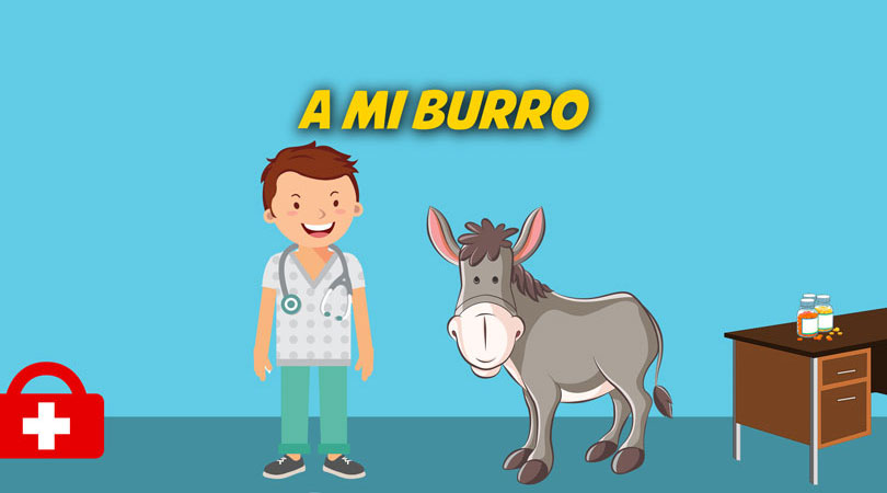 A mi Burro - Karaoke, Video with lyrics, teaching ideas