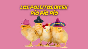 Los Pollitos Dicen pío pío pío (Versión española)
