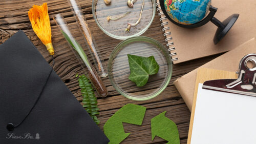 How to Celebrate Earth Day at School : Singing Bell