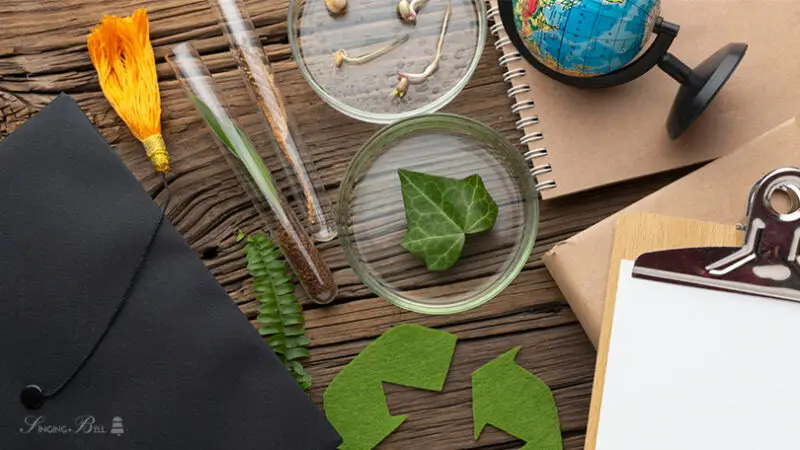 How to Celebrate Earth Day at School : Singing Bell