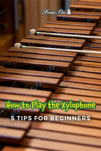 How to Play the Xylophone: 5 Tips for Beginners